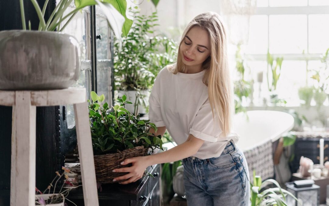 HORÓSCOPOS - HORÓSCOPO NEGRO